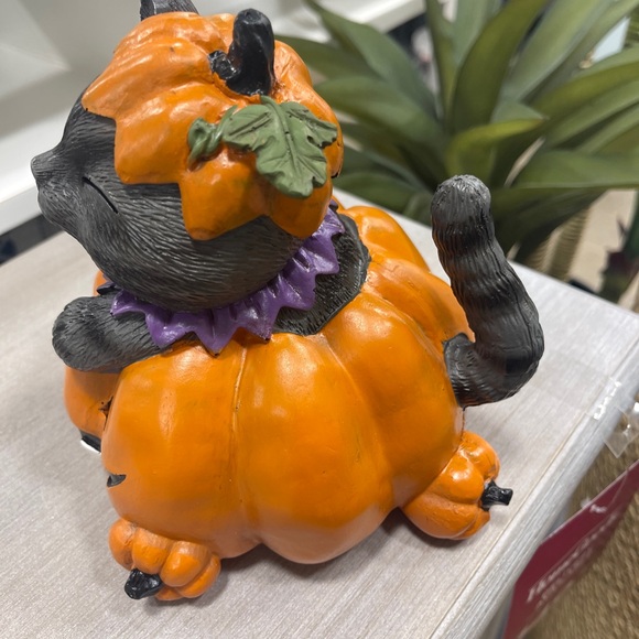 Homegoods | Holiday | Halloween Cat In Pumpkin Jack Olantern Costume ...